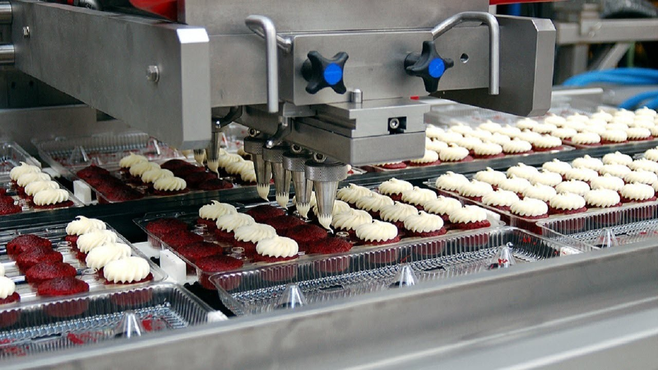 Sweet Manufacturing Plant Consultancy Services in India